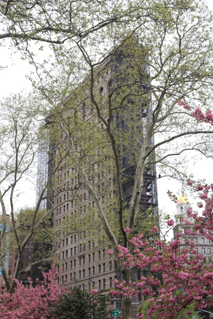Flatiron Building in Bloom - Debbie In the City